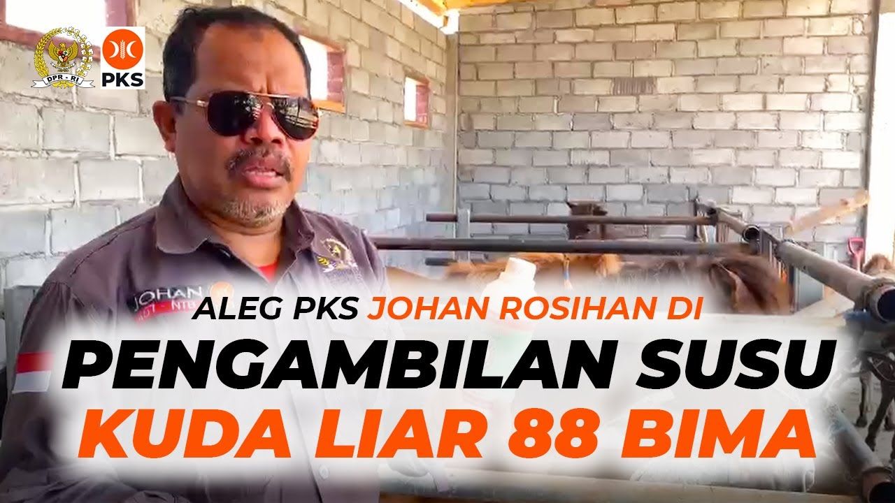 Johan Rosihan di Pengambilan Susu Kuda Liar 88 Bima, Sumbawa | Fraksi PKS Johan Rosihan di Pengambilan Susu Kuda Liar 88 Bima, Sumbawa | Fraksi PKS