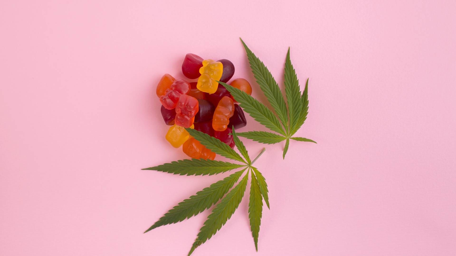 Crafting Compliant and Captivating Packaging for Cannabis Edibles | Herbay