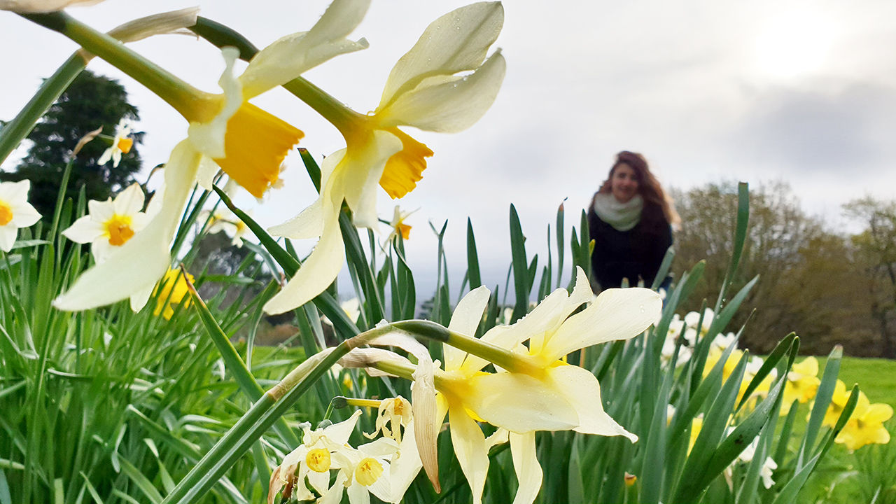 Nowa Zelandia, Południowa Wyspa - co warto zobaczyć w 10-12 dni - blog ...