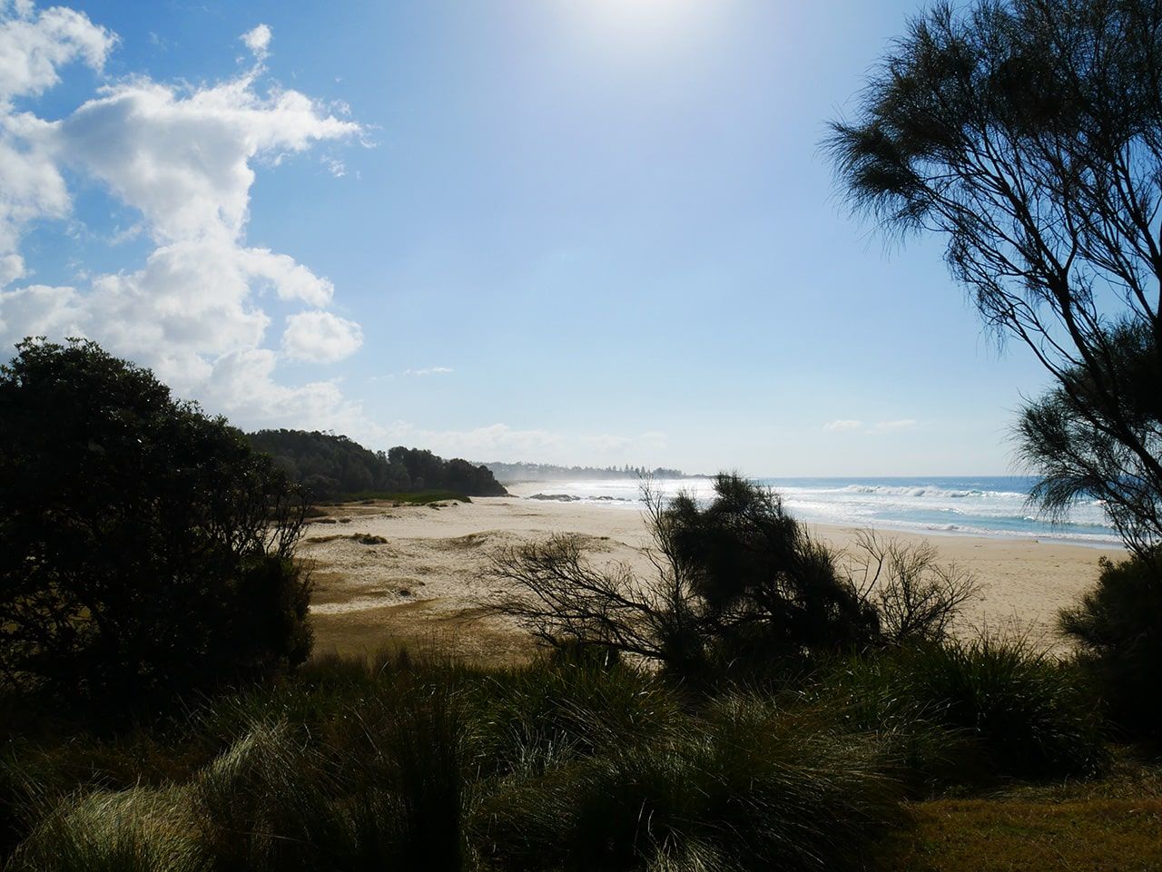 3-4 dni w okolicach Sydney - Kangaroo Valley, Potato Point - Planodo.pl