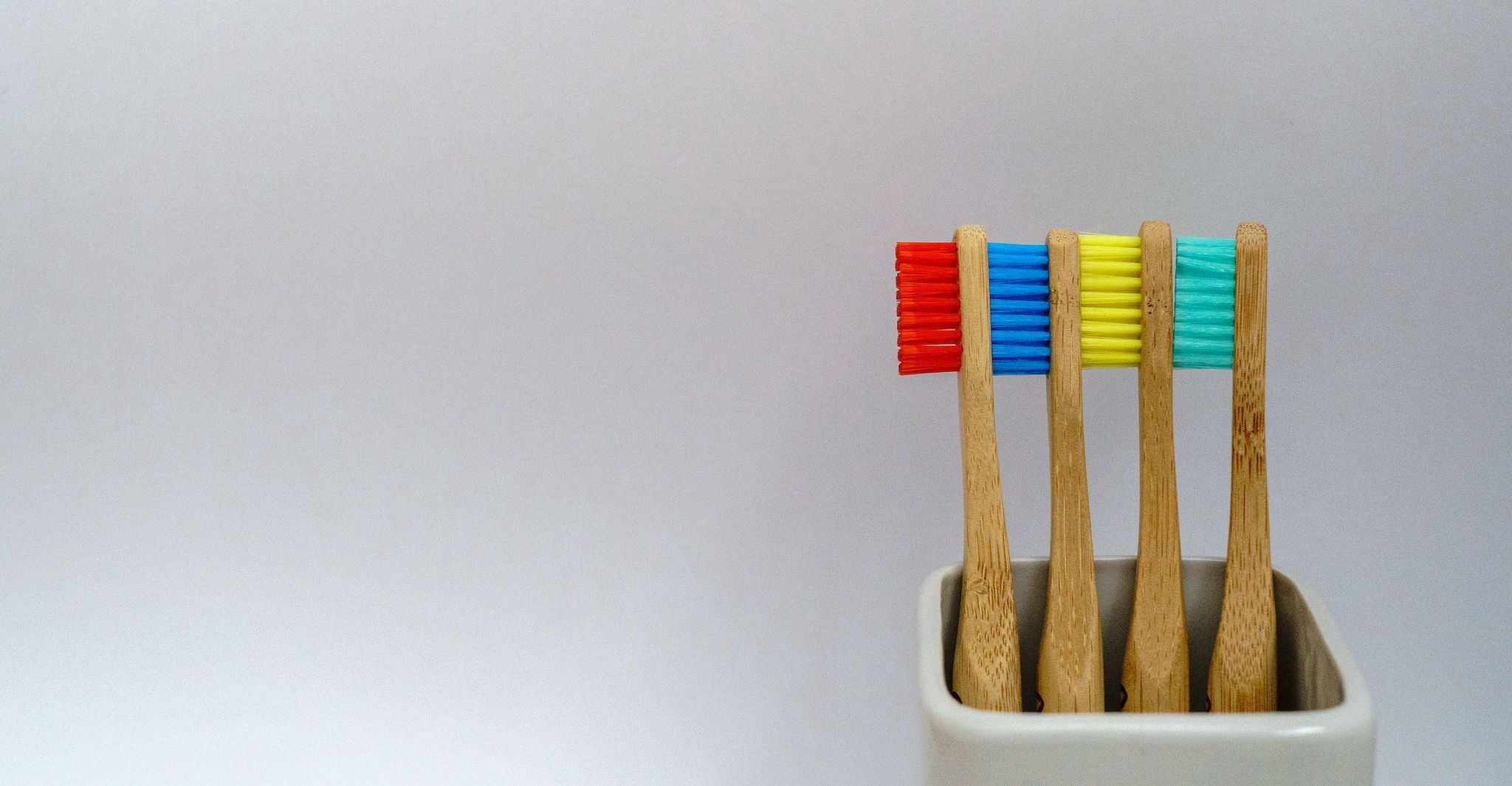 High, low, buffalo! - Play & Seek