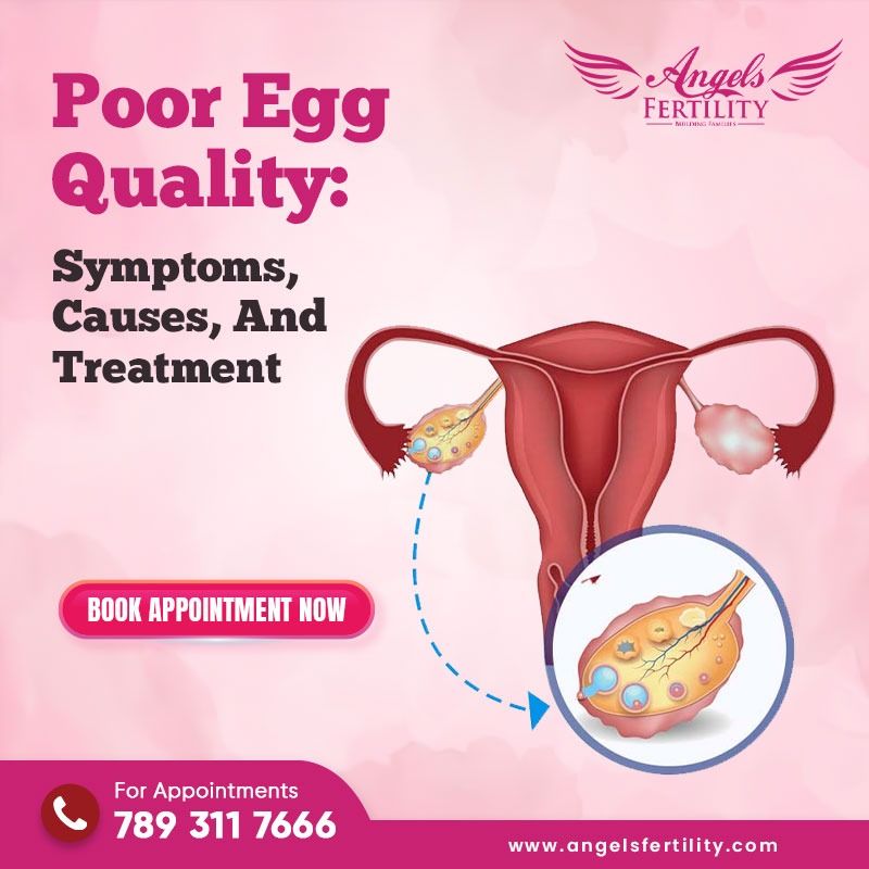 Poor Egg Quality: Symptoms, Causes, and Treatment | Angels Fertility Poor Egg Quality: Symptoms, Causes, and Treatment | Angels Fertility