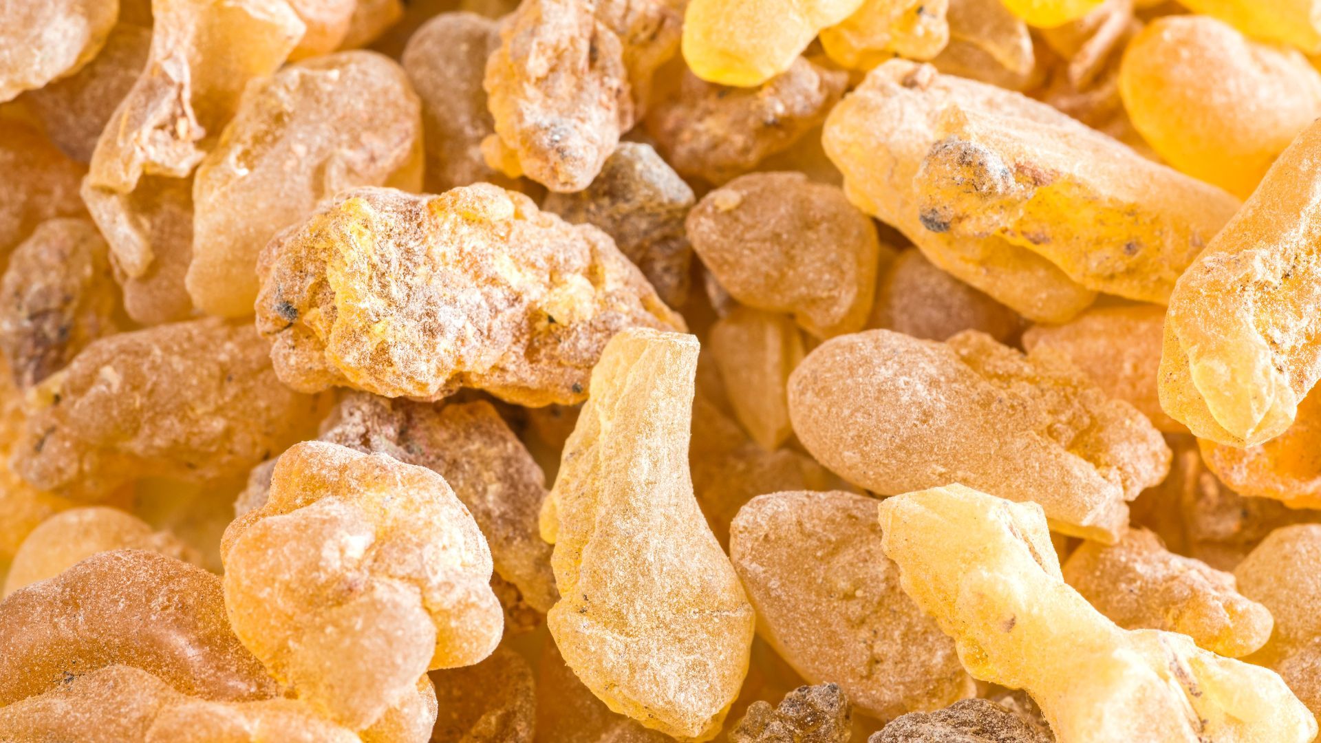 Standardized Herbal Extracts | Star Hi Herbs