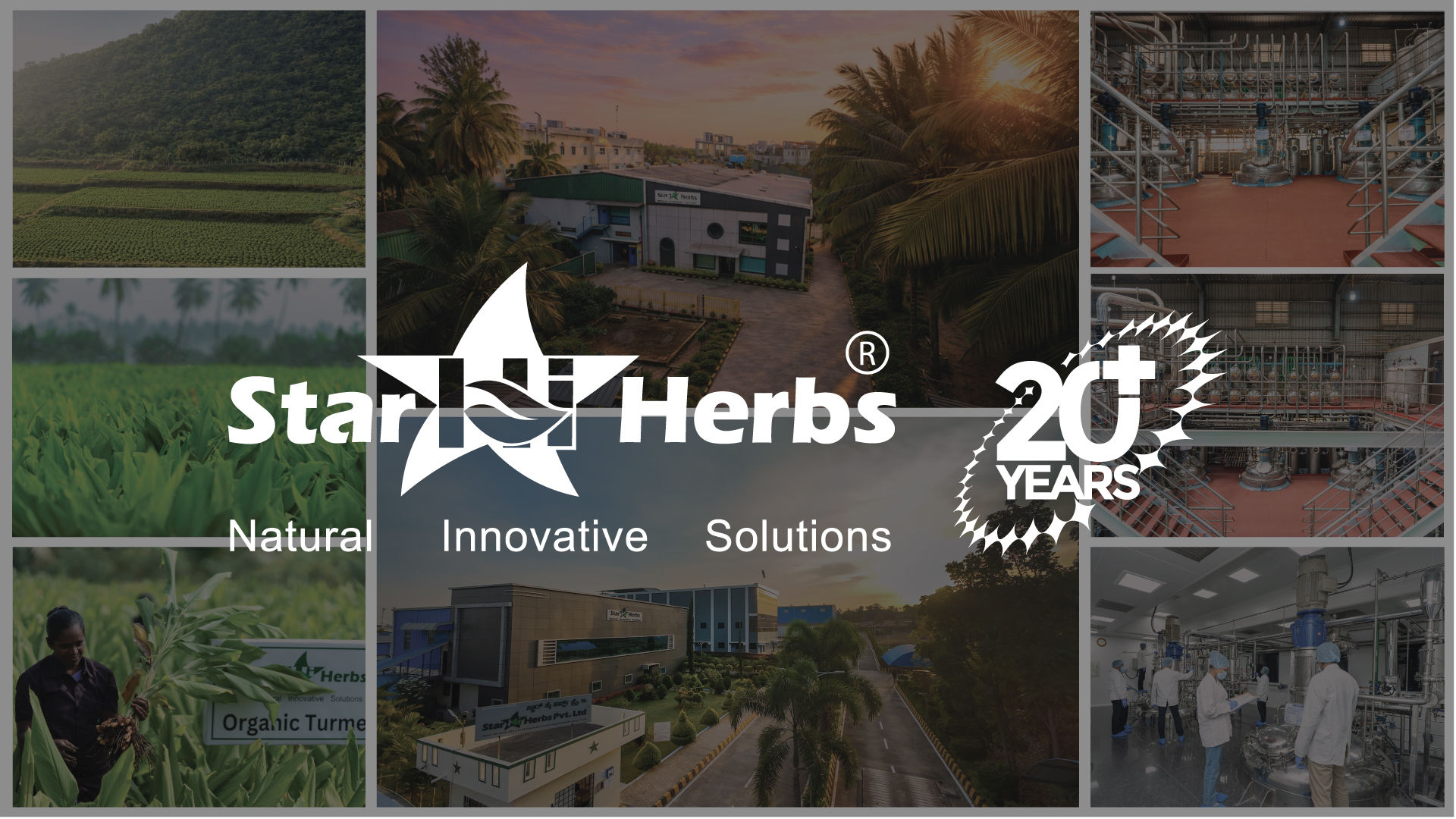 Star Hi Herbs | Top Herbal Extract Manufacturer in India & Bangalore