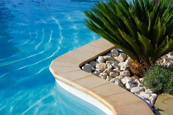 Pool Landscaping Ideas If You Are On A Budget In Australia