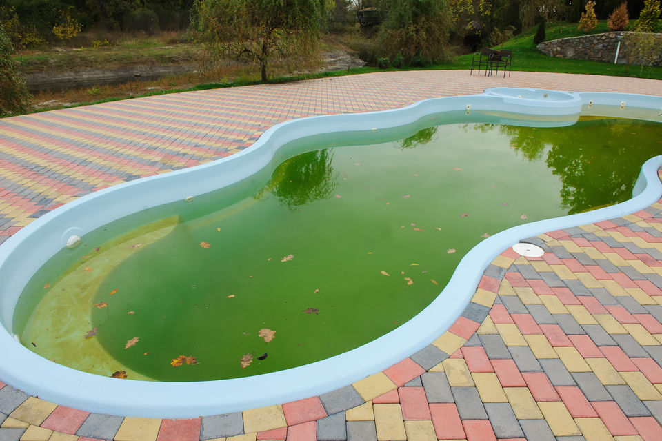 Pool Green After Rain - Why? How To Fix It?