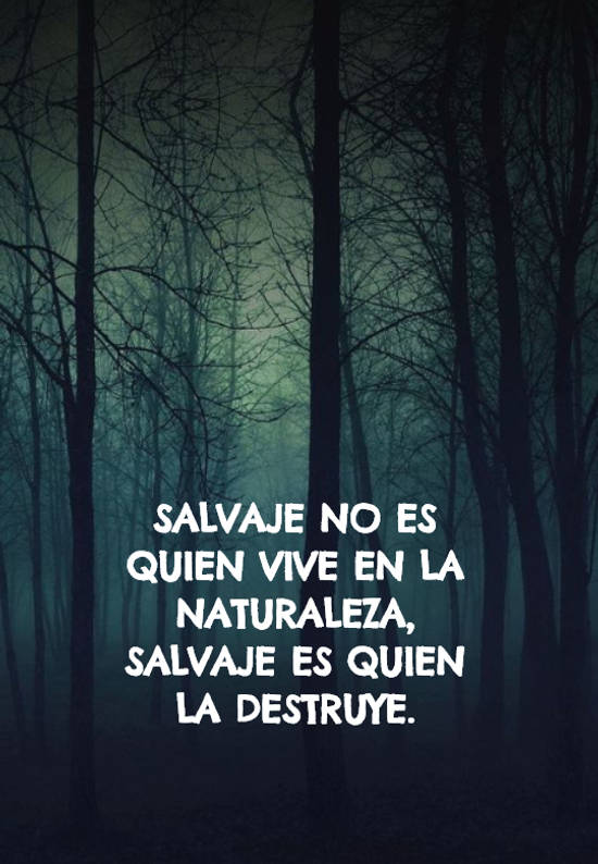 Frase #446681: Salvaje no es quien vive en la naturaleza, salvaje es ...