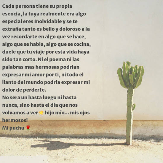 Frase #456145: Cada persona tiene su propia esencia, la tuya realmente ...