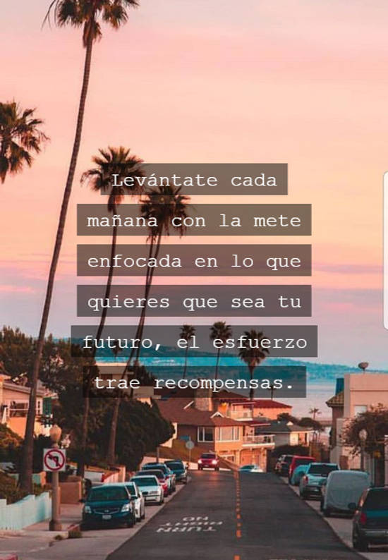 Frase #594187: Levántate cada mañana con la mete enfocada en lo que ...
