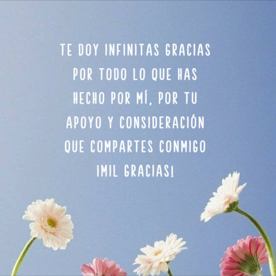 Frase #747908: Te doy infinitas gracias por todo lo que has hecho por ...