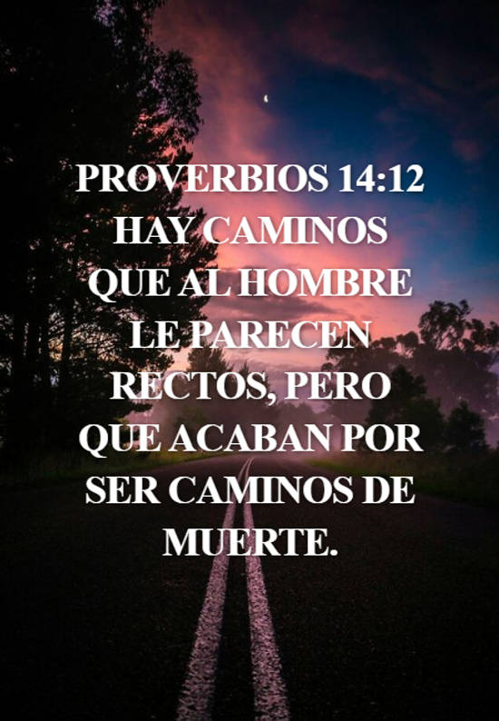 Frase #819117: Proverbios 14:12 Hay caminos que al hombre le parecen ...