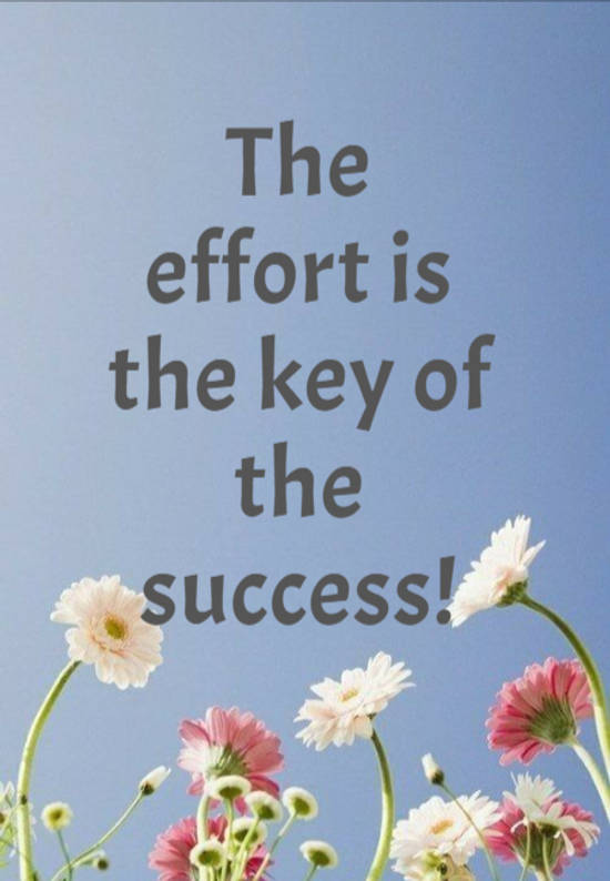 Frase #852059: The effort is the key of the success! – Crea Tu Frase