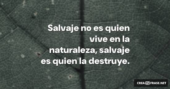 Frase #913852: Salvaje no es quien vive en la naturaleza, salvaje es ...