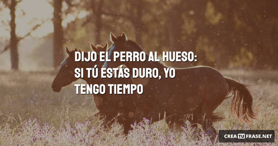 Frase #927608: Dijo el perro al hueso: Si tú estás duro, yo tengo ...