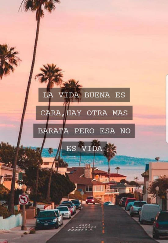 Frase #935876: LA VIDA BUENA ES CARA,HAY OTRA MAS BARATA PERO ESA NO ES ...