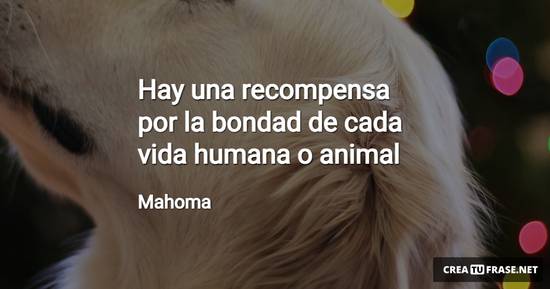 Frase #937933: Hay una recompensa por la bondad de cada vida humana o ...