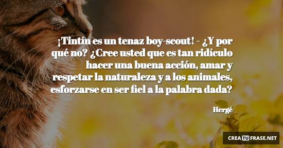 Frase #953382: ¡Tintín es un tenaz boy-scout! - ¿Y por qué no? ¿Cree ...