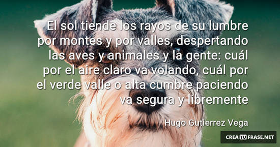 Frase #963970: El sol tiende los rayos de su lumbre por montes y por ...