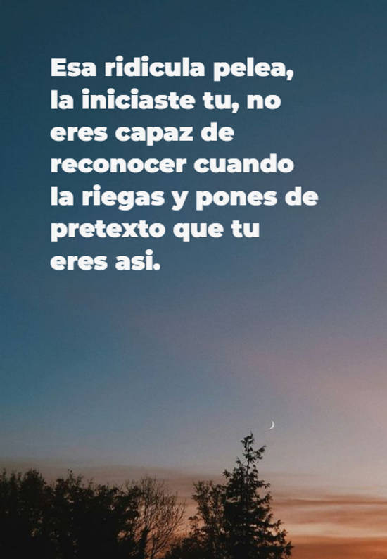 Frase #966772: Esa ridicula pelea, la iniciaste tu, no eres capaz de ...