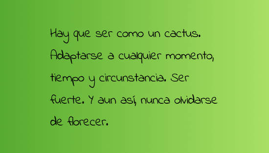 Frase #988238: Hay que ser como un cactus. Adaptarse a cualquier ...