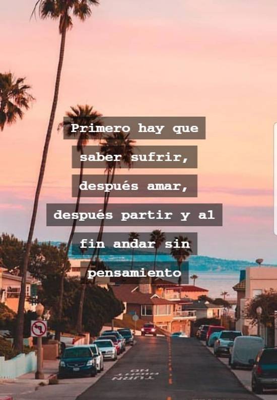 Frase #53106: Primero hay que saber sufrir, después amar, después ...