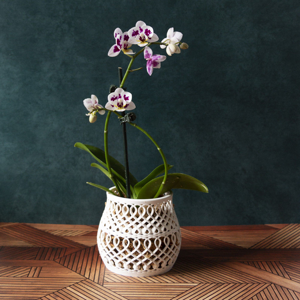 Print A Pot: Unique Planter Gifts, 3D Printed Planters | Print A Pot