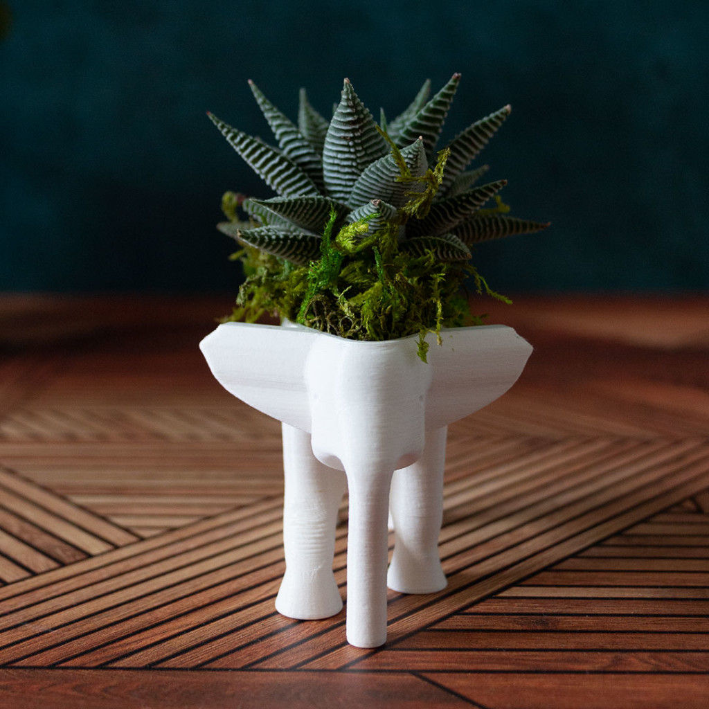 Small Elephant Planter for Succulents | Print A Pot