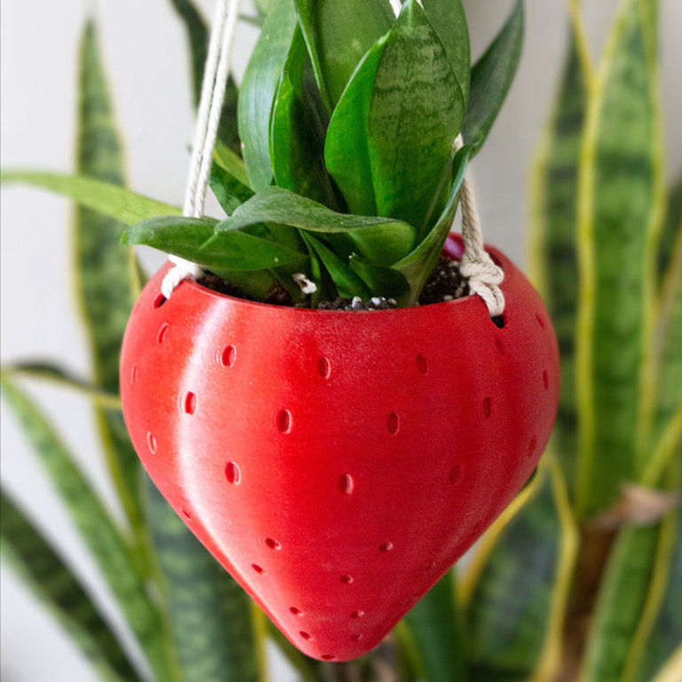 3D Printed Pots | Print A Pot