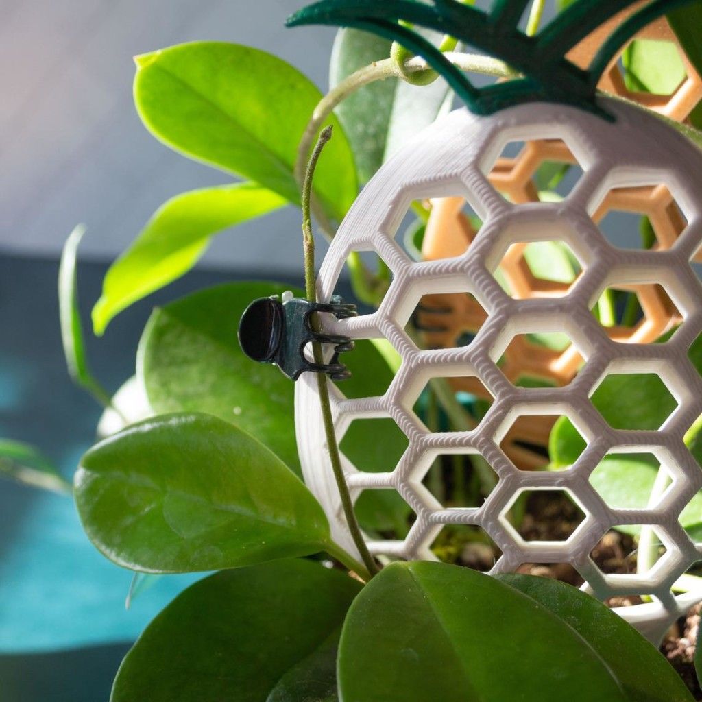 3D Printed Pineapple Trellis | Print A Pot