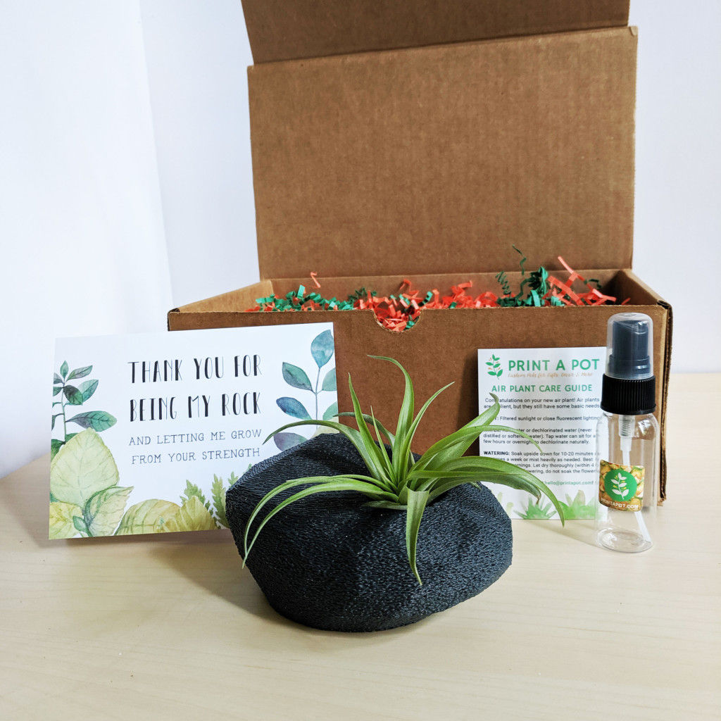 Plant Gifts | Print A Pot