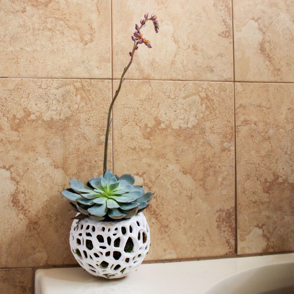 Kokedama Planter | Print A Pot