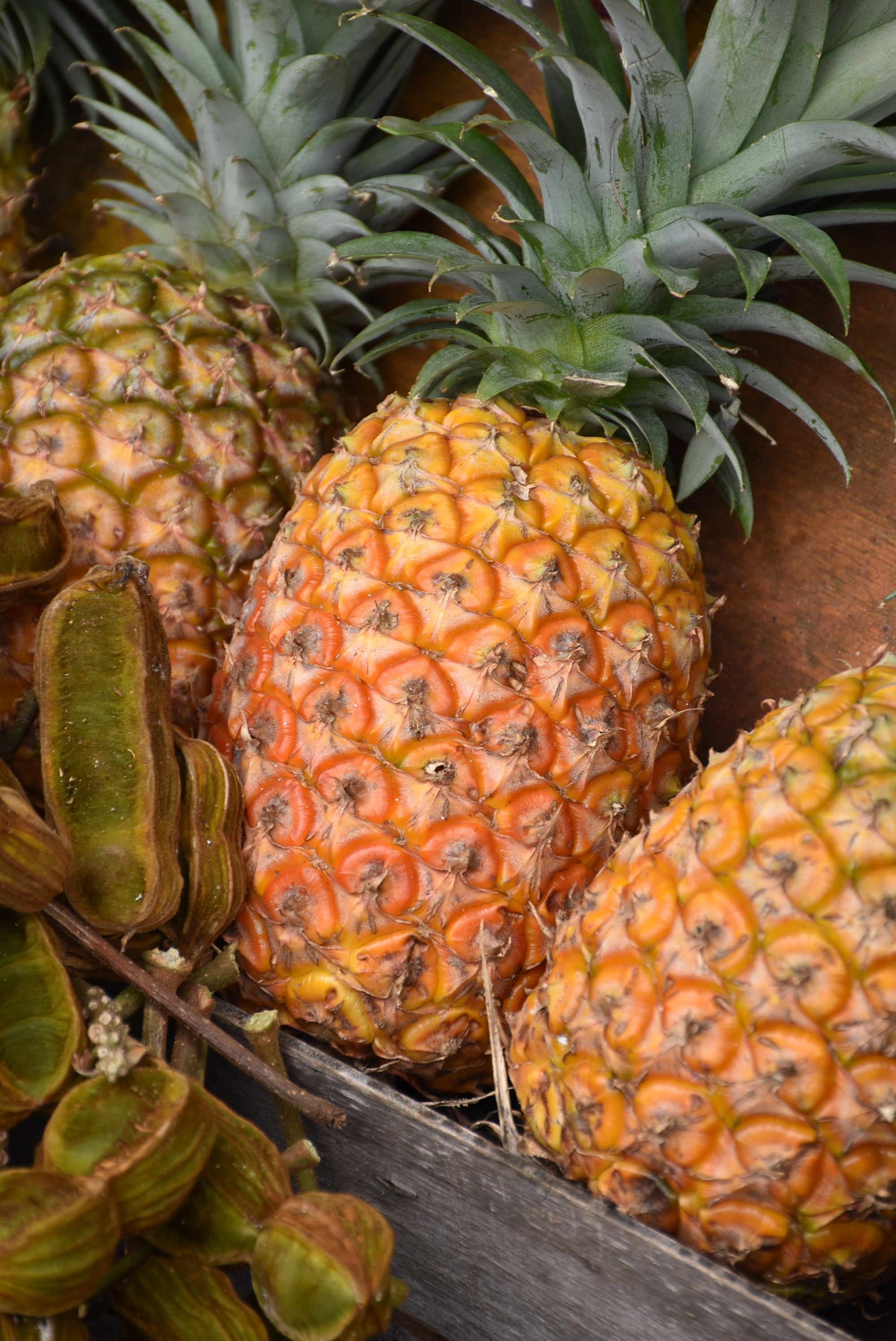 10 Manfaat Luar Biasa Buah Nanas untuk Kesehatan Tubuh / perkebunan.org 10 Manfaat Luar Biasa Buah Nanas untuk Kesehatan Tubuh / perkebunan.org