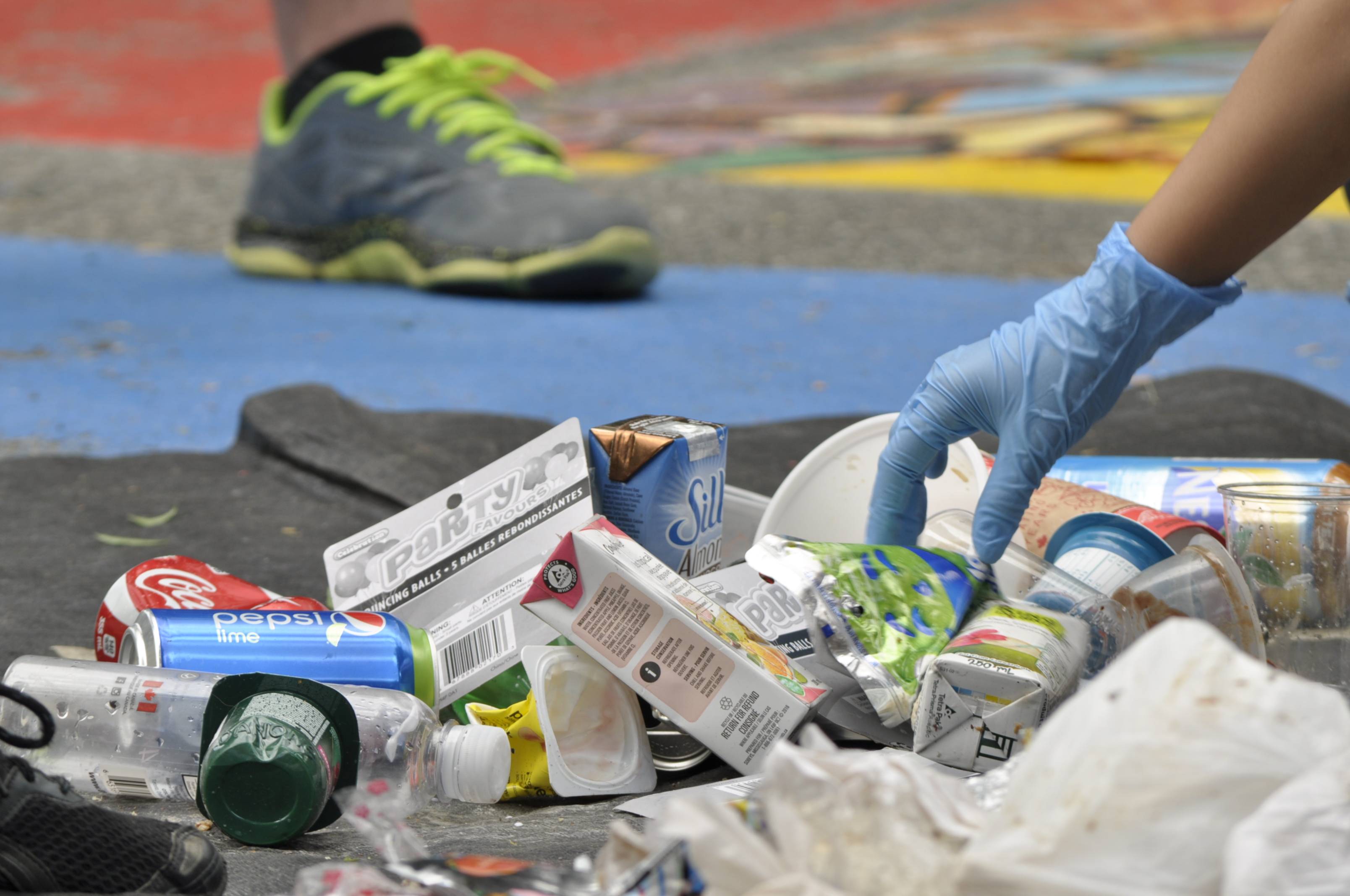 Beyond the Bin- zero waste education - Be The Change Earth Alliance