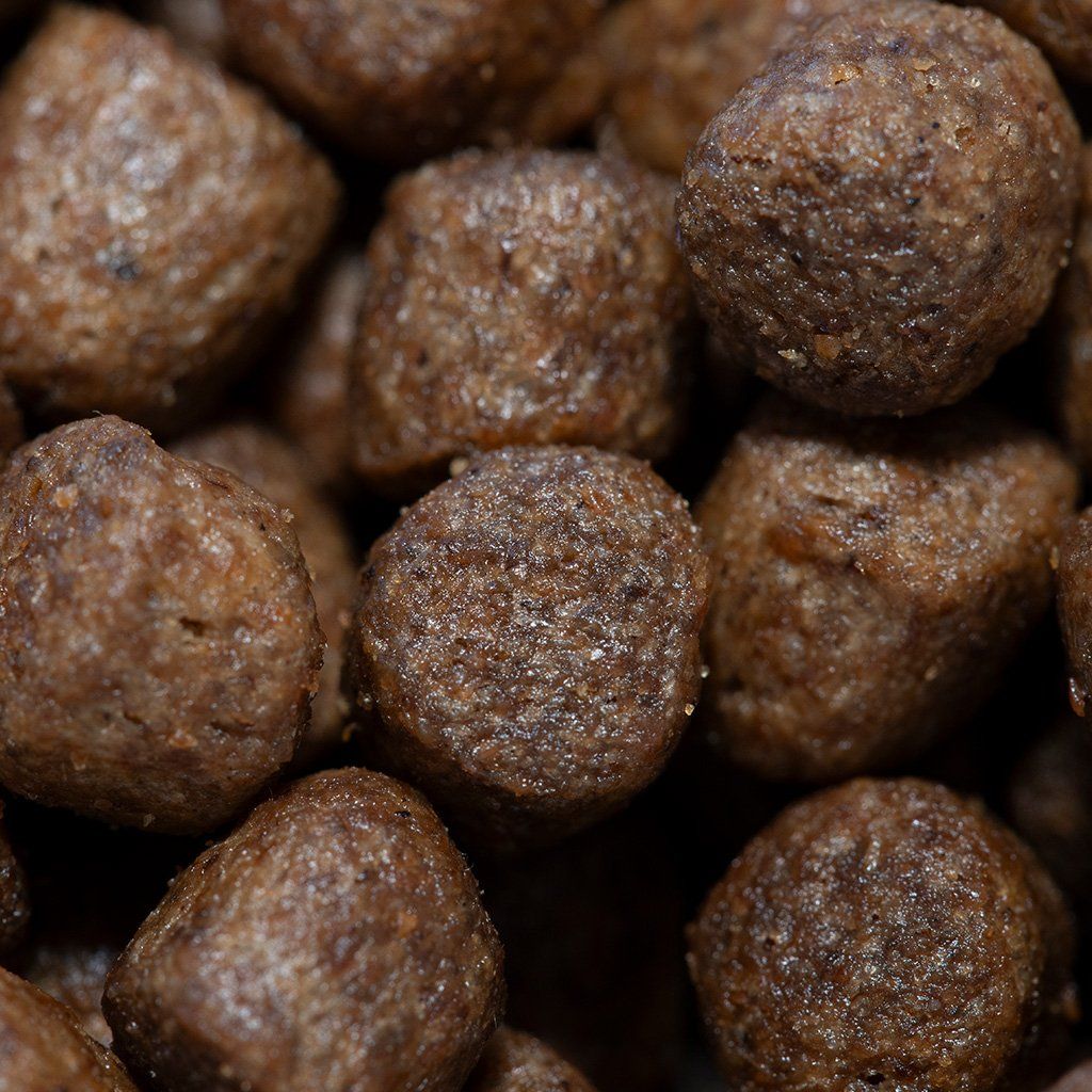 Puro Croc Puppy 30/14 - Puro