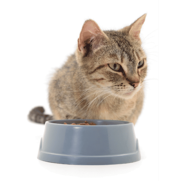 Puro - Let your pet smile!