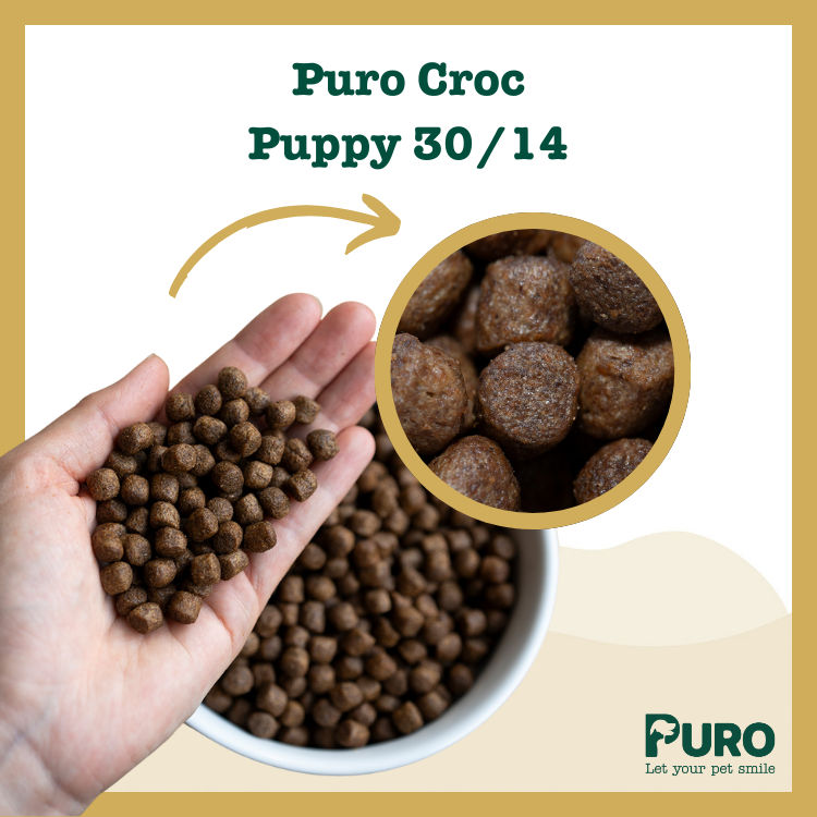 Puro Croc Puppy 30/14 (20 KG) - Puro