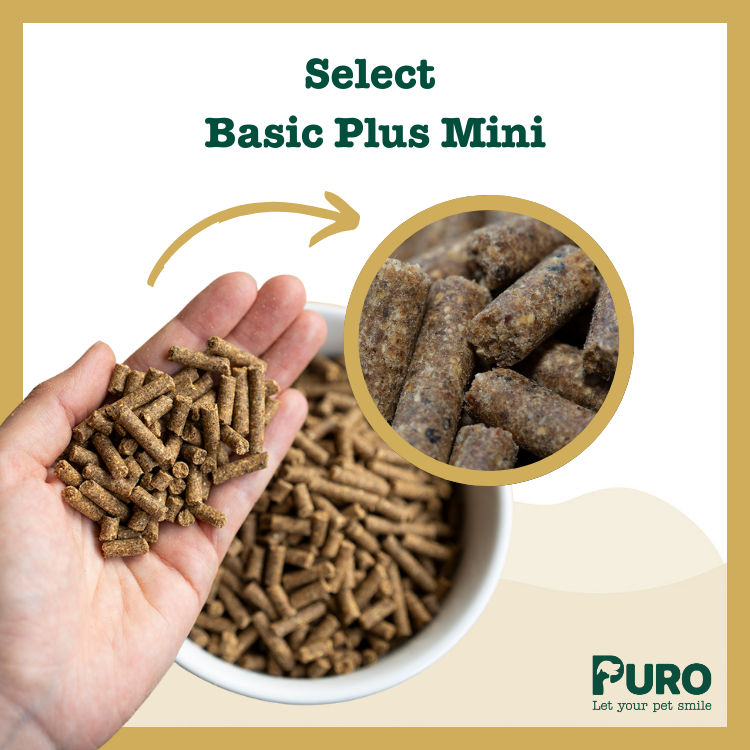 Select - Basic Plus Mini - Puro