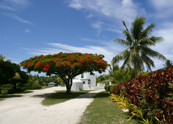 Mitiaro 2 Night Retreat - Air Rarotonga