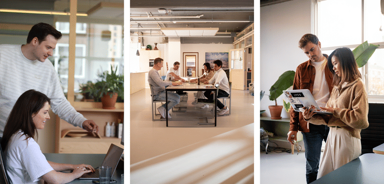 Why join Wild Digital?