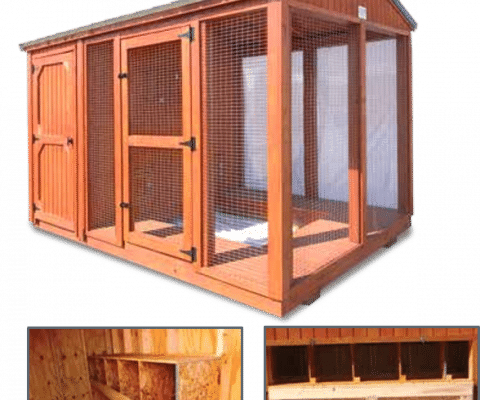 The Deluxe Chicken Coop: Discover Why it's #1 in OK & AR