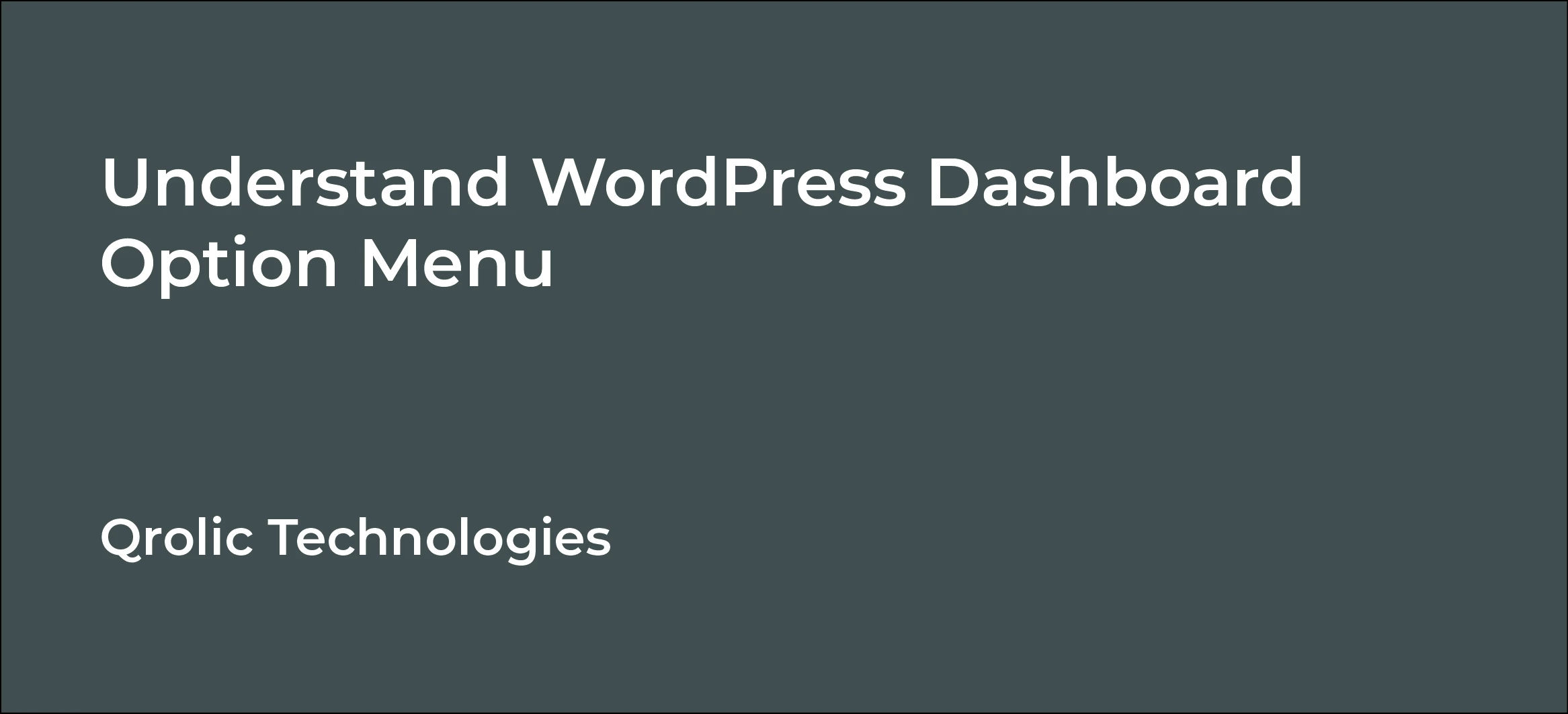 Understand WordPress Dashboard Option Menu - Qrolic Technologies