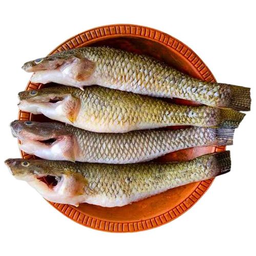 Speciality Food Products | My LokalMarket