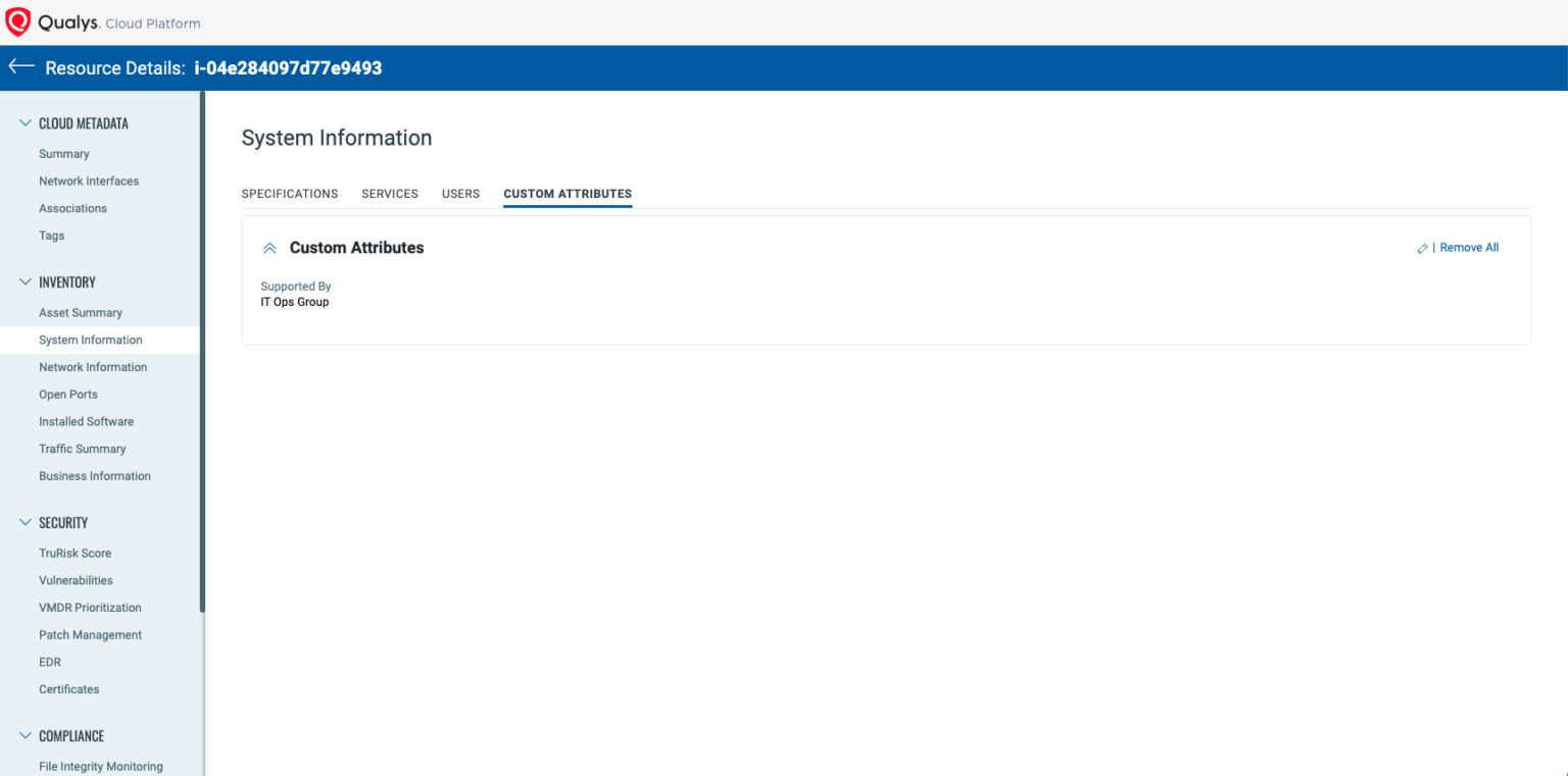 Add Unique Asset Context with Custom Attributes in CSAM | Qualys ...