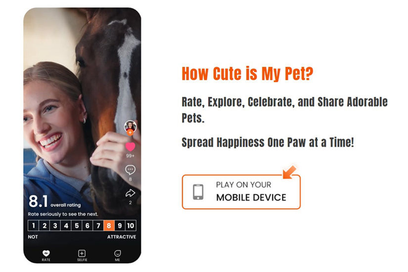 Reviews And News About Dating Sites & Apps | DatingWise.org