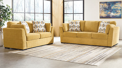 Rent a center couches store