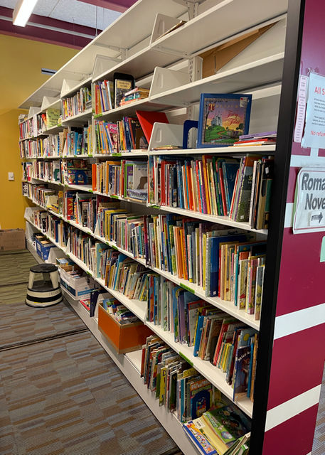 Book Sale Area-Dover Public Library - Rare and collectible books Photo ...