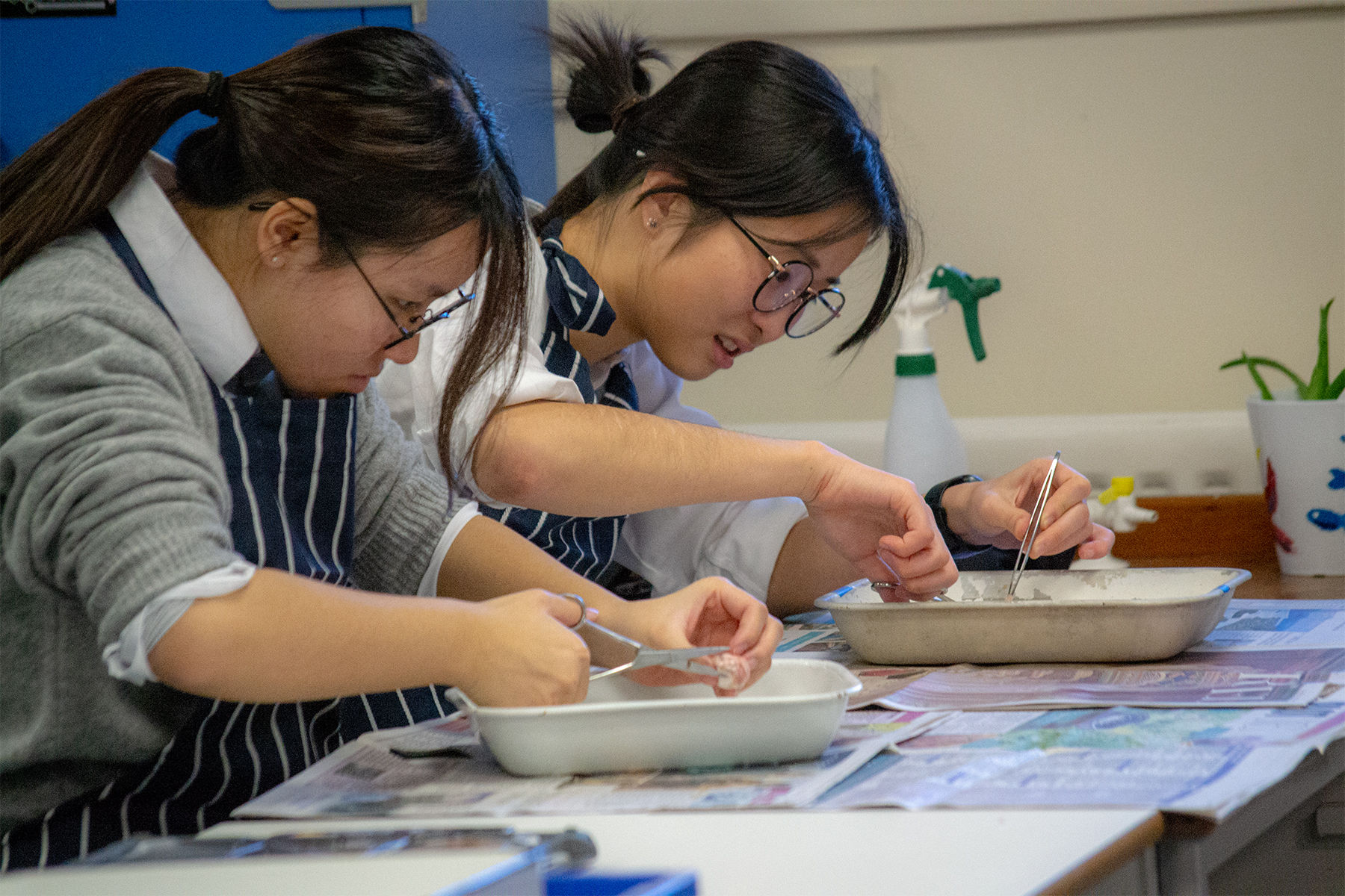 Yearly Roundup - West Buckland School