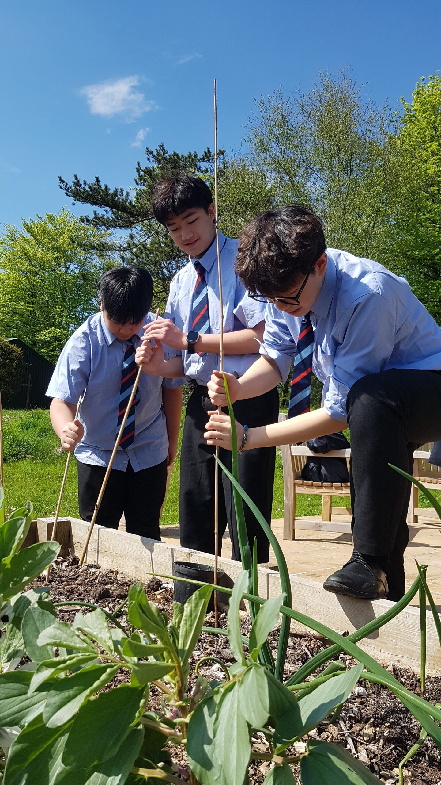 Yearly Roundup - West Buckland School