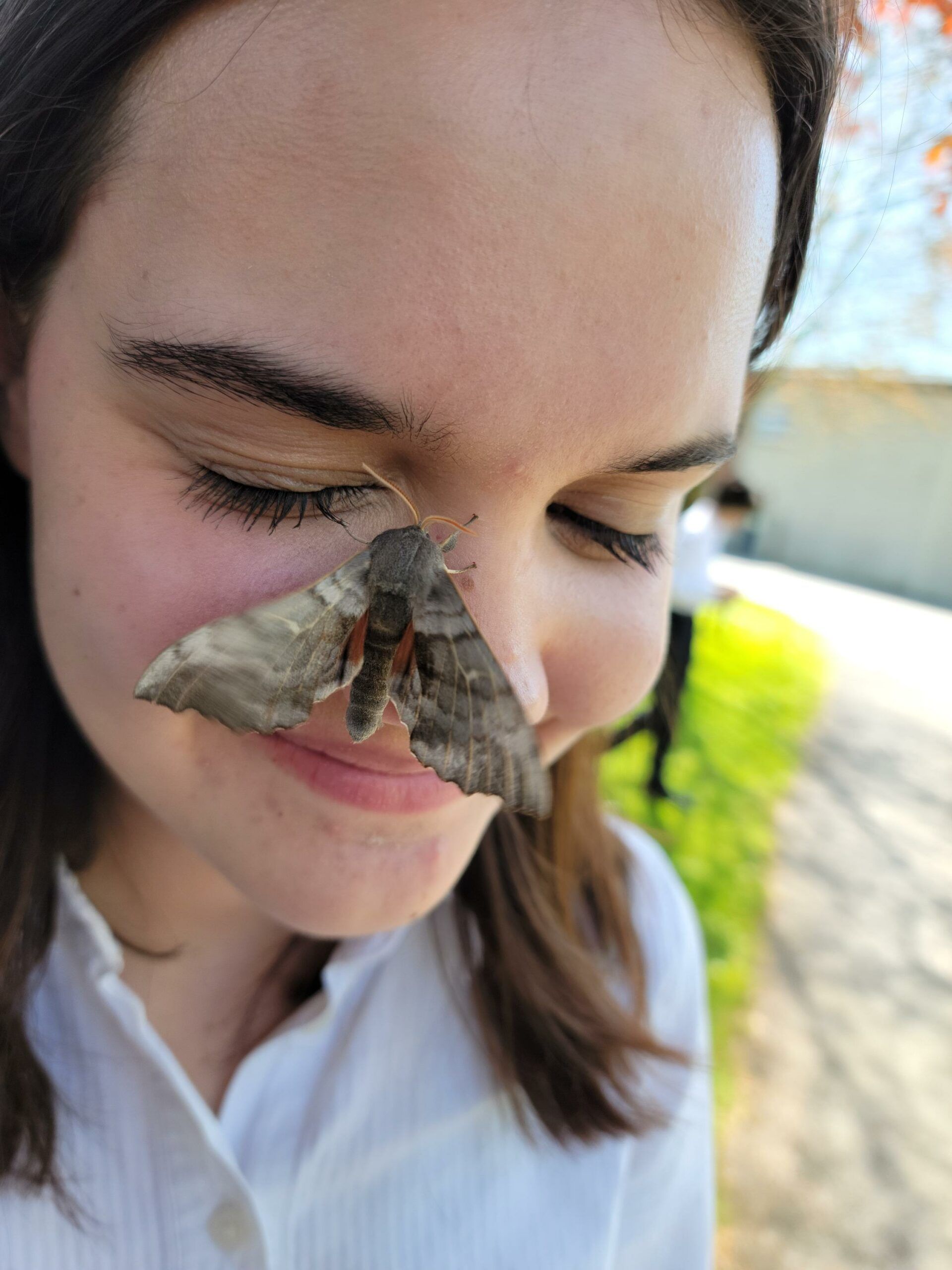 Yearly Roundup - West Buckland School