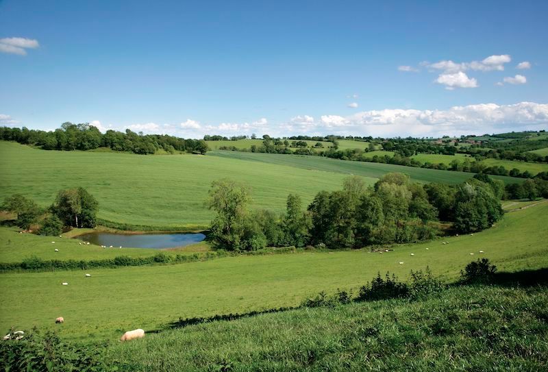 Hampton Wafre Cottage - Herefordshire Holiday Home | Elite Cottages